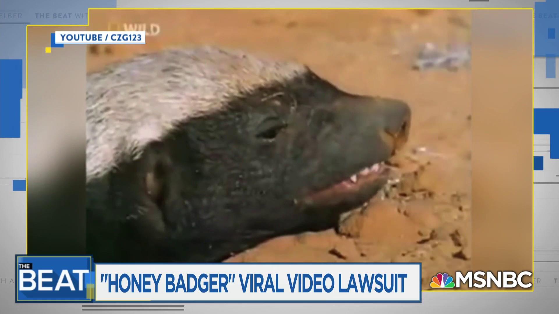 Honey Badger Dont Care Wallpaper