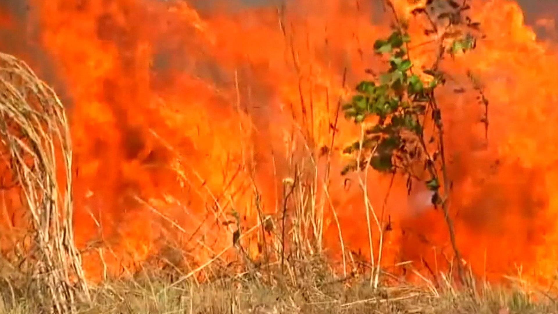 Video shows fire raging in Brazil's Amazon rainforest