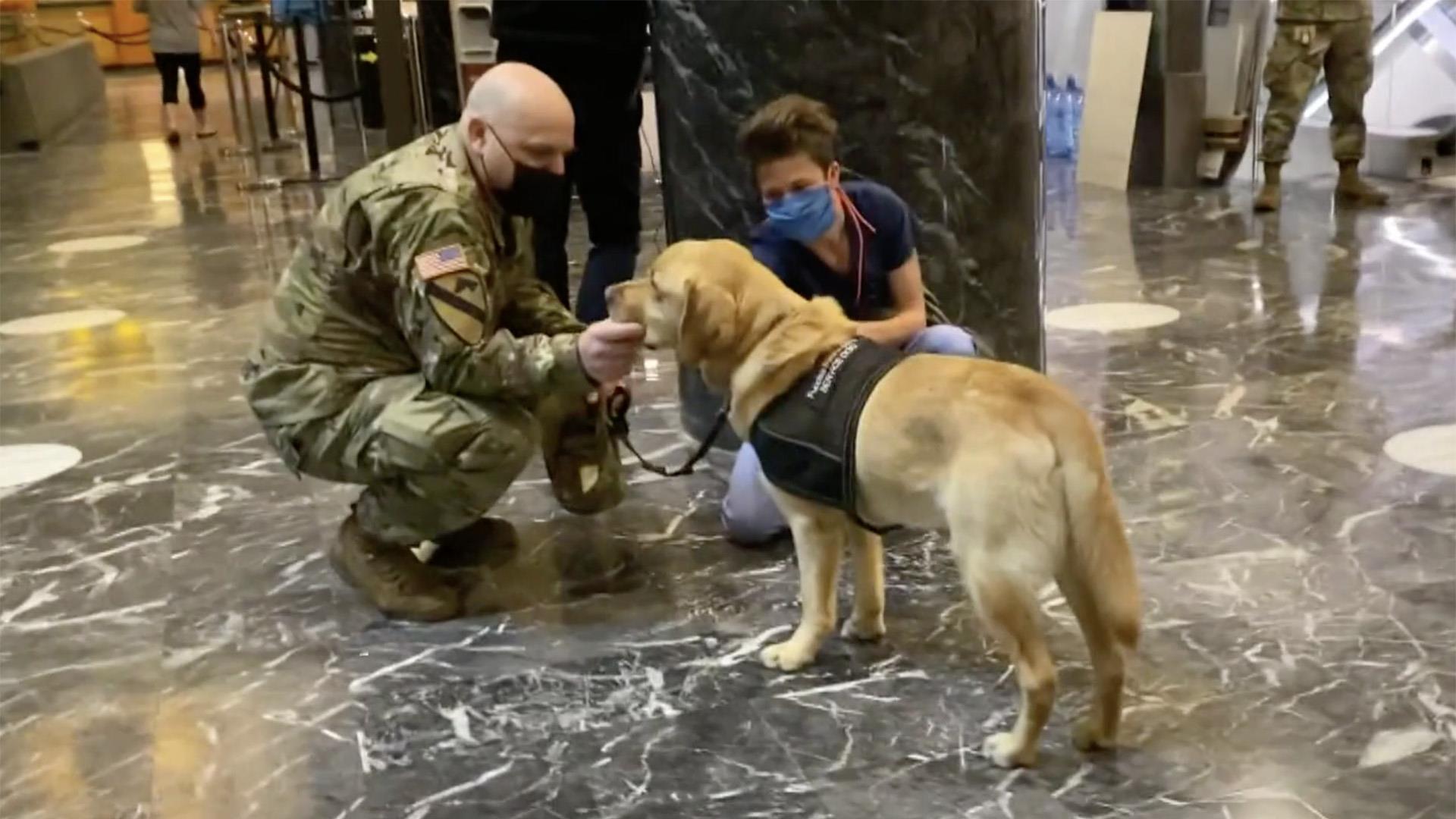 Who Started Puppies Behind Bars