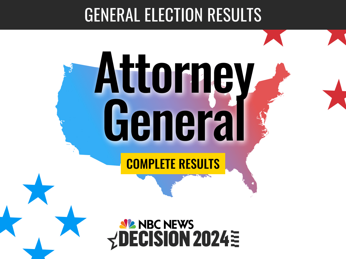 2024 general election