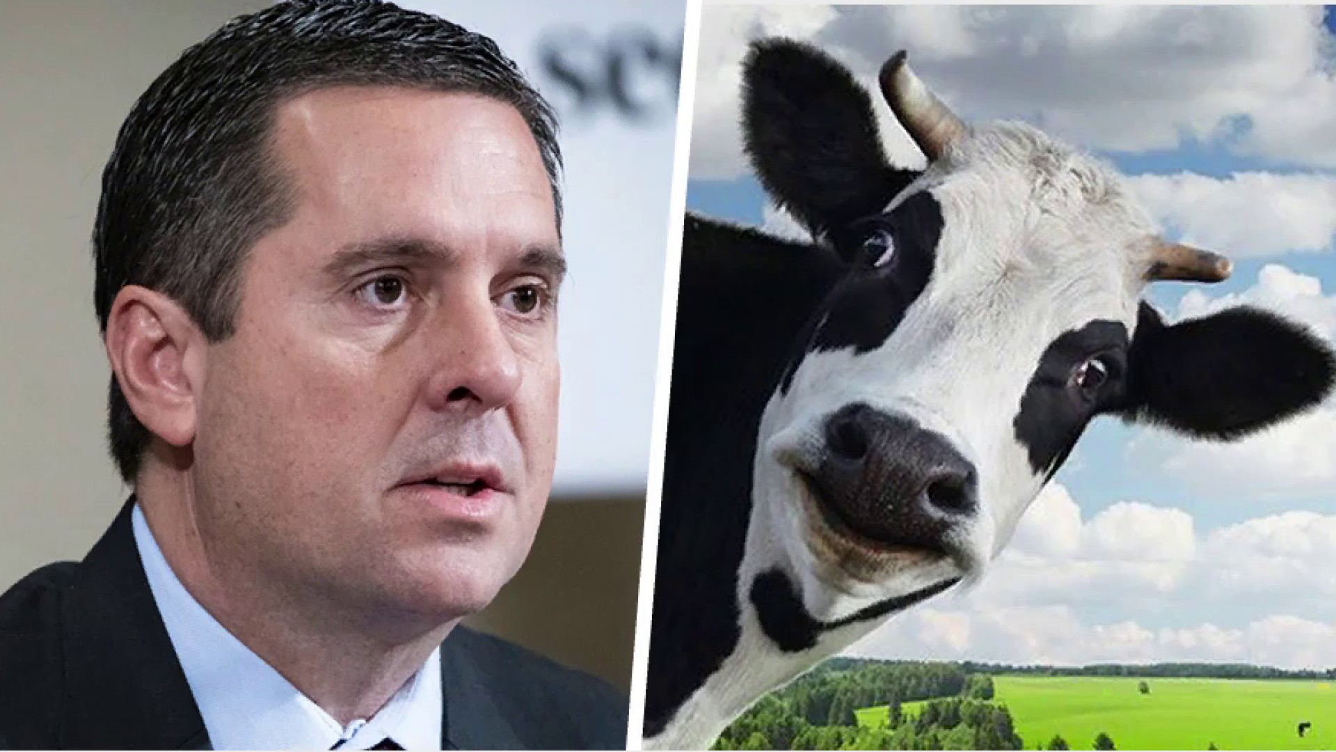 LOL MSNBC Chyron - Democratic Underground Forums