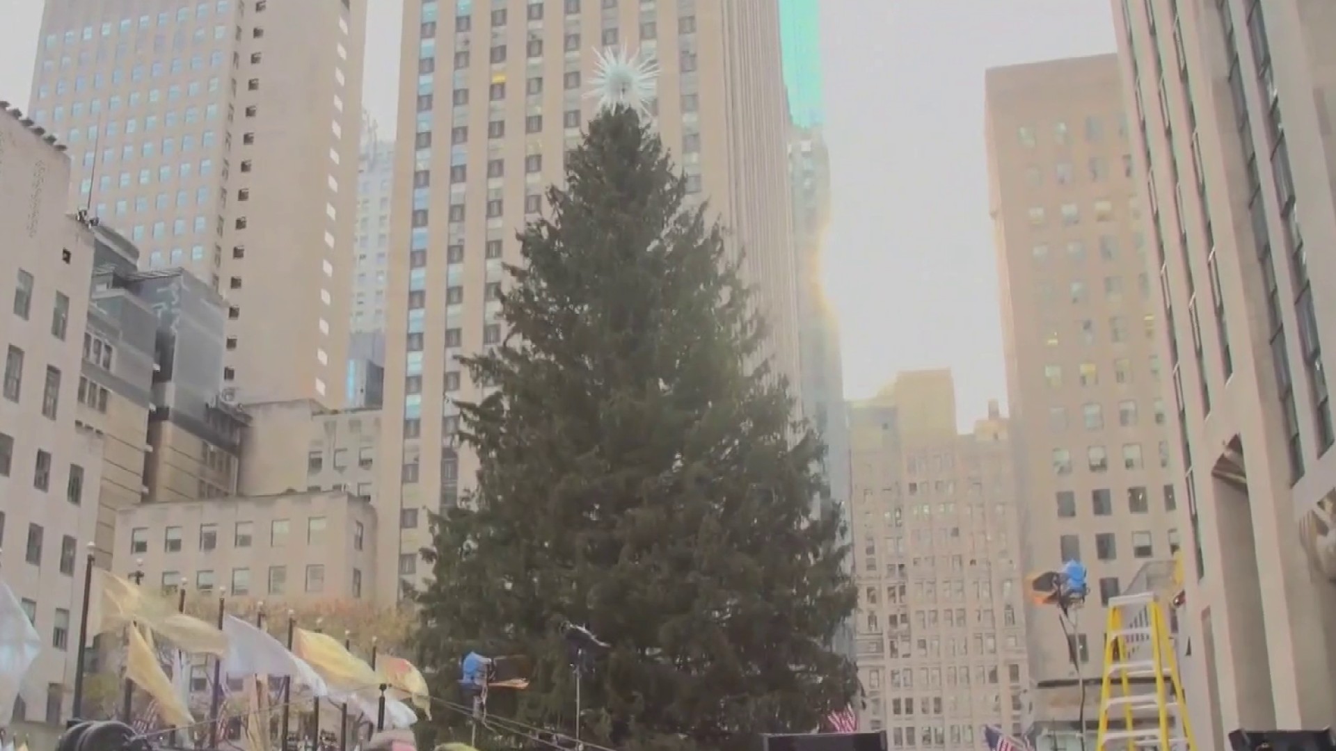 'It's beautiful!': Crowds gather ahead of Rockefeller Center Christmas ...