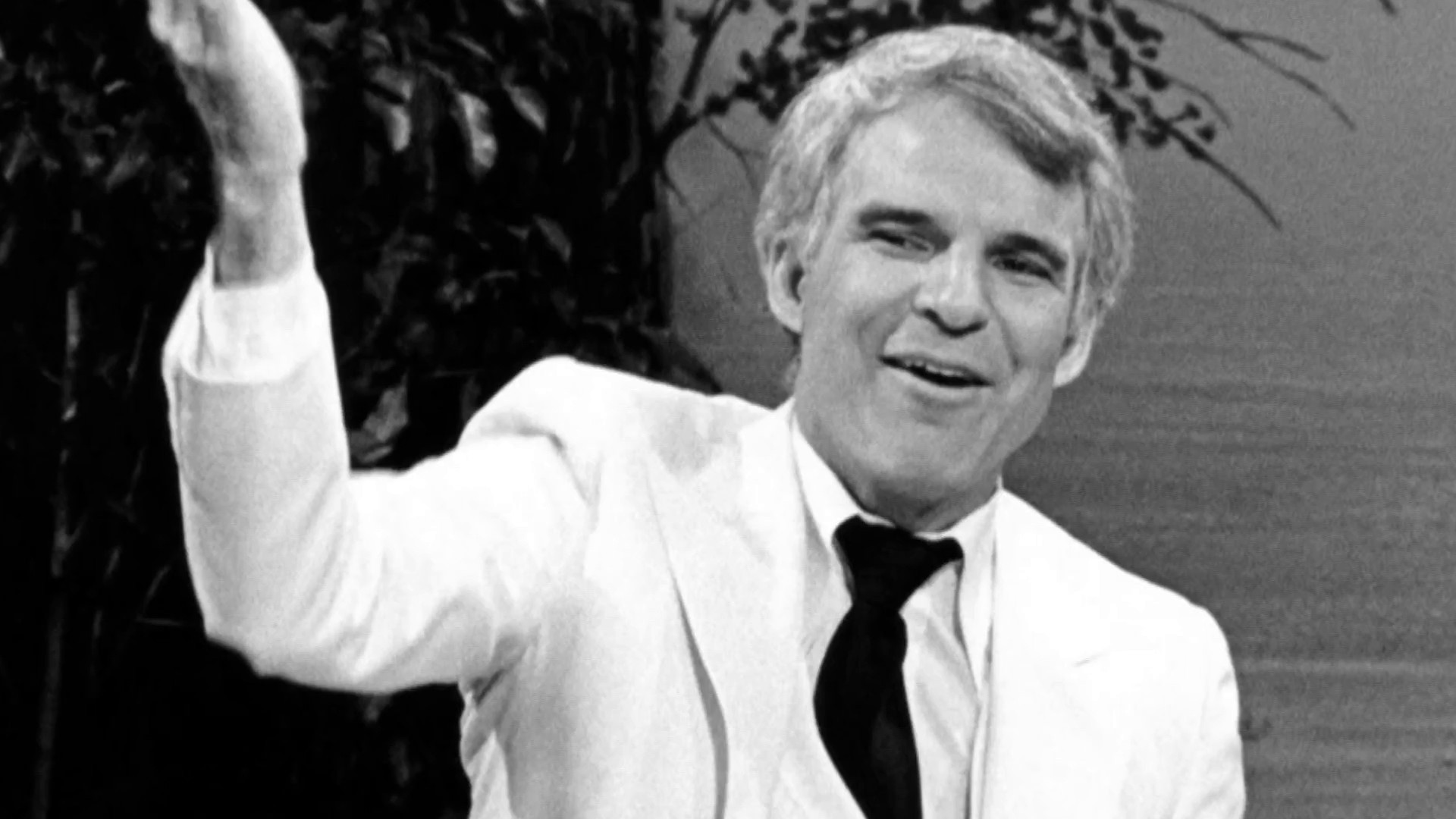Steve Martin Stand Up