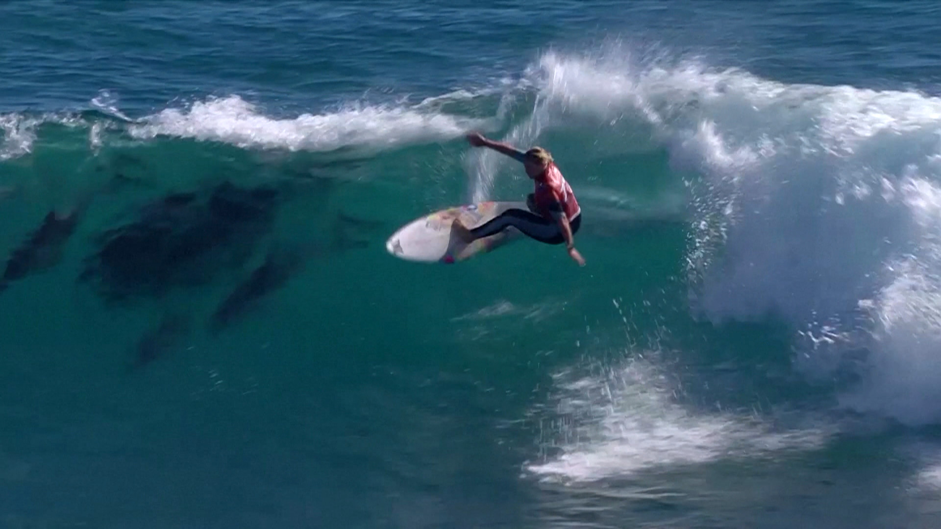 Watch: Surfer shares wave with dolphins during competition off Australia