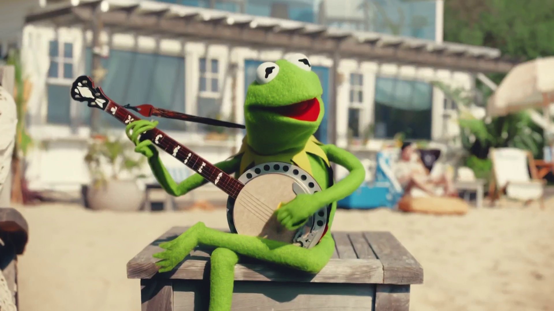 kermit vlogs