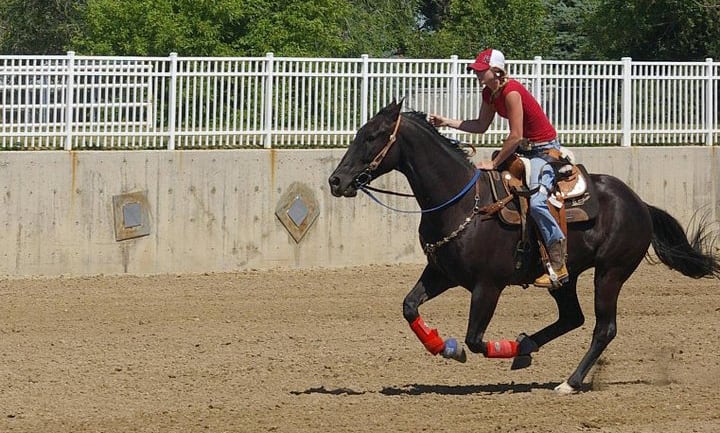 Barrel Racing Accidents