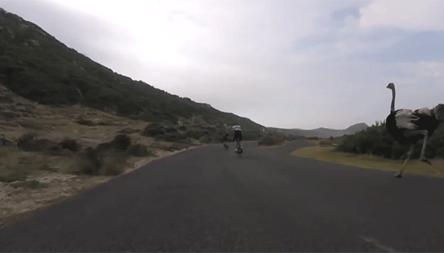 Chasing Someone Gif