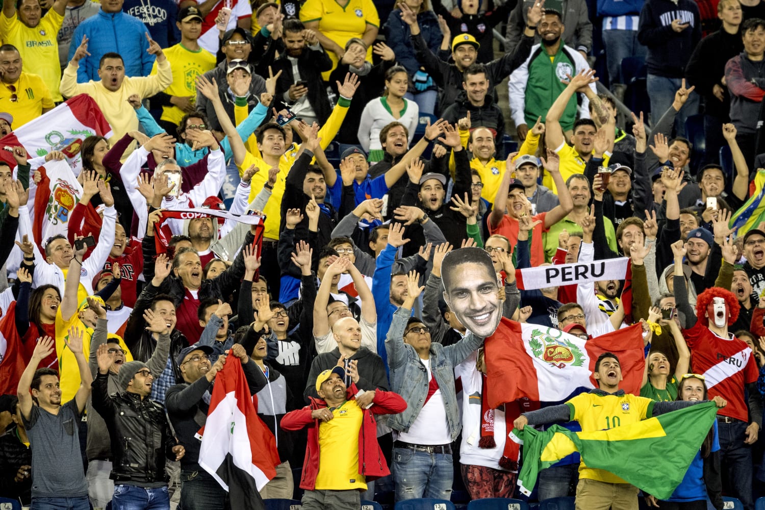 Peru Soccer Fans