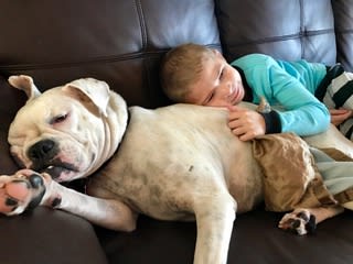 The Unlikely Bond: How Adoption Transformed a Family’s Life with a Deaf ...