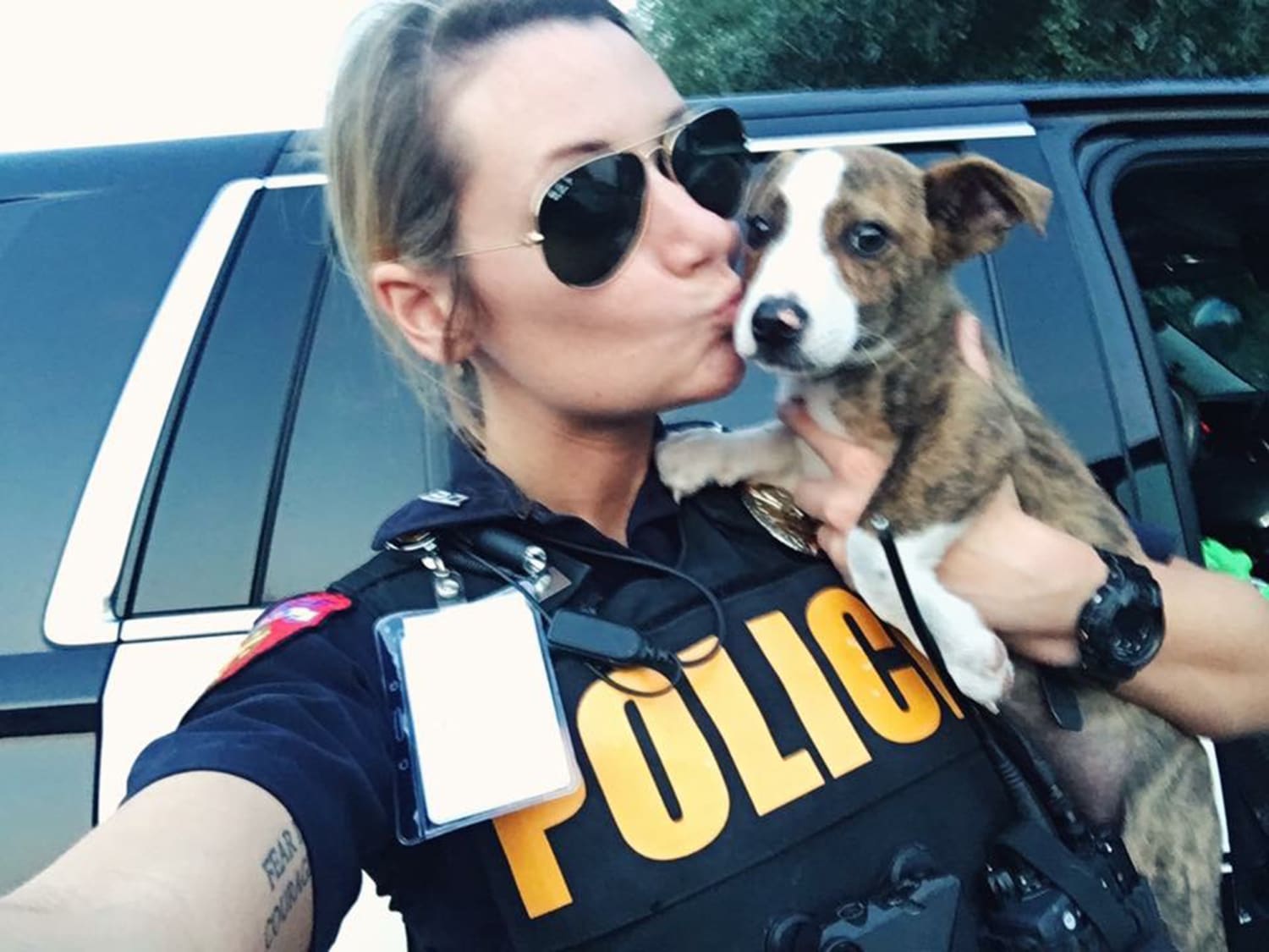 Paige Sipe's Instagram, Twitter & Facebook on IDCrawl