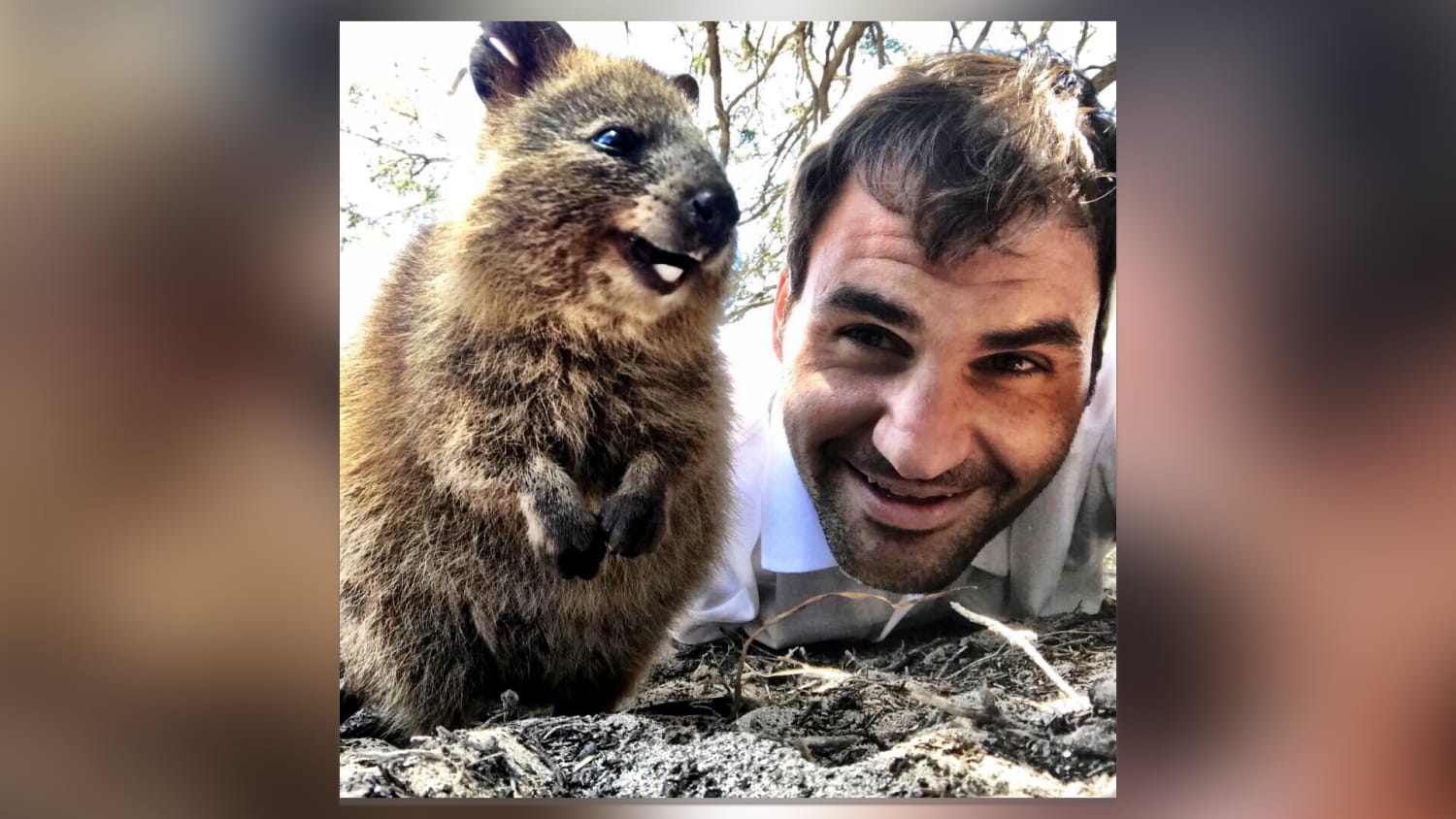 Smiling Australian Animal