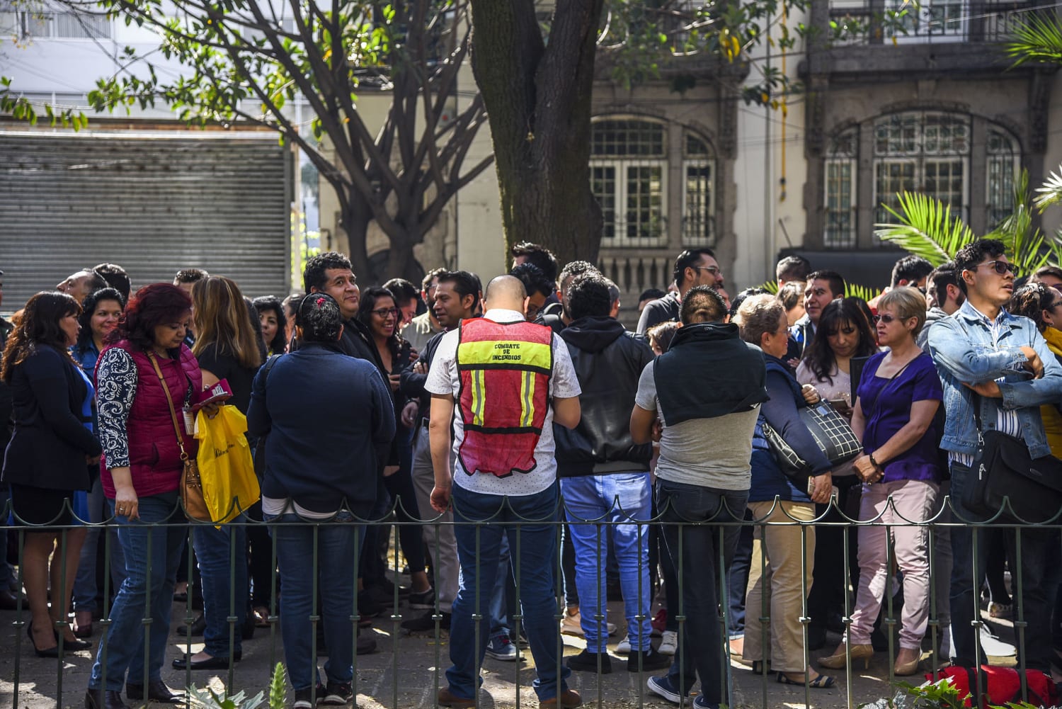 Magnitude Community Harry Potter