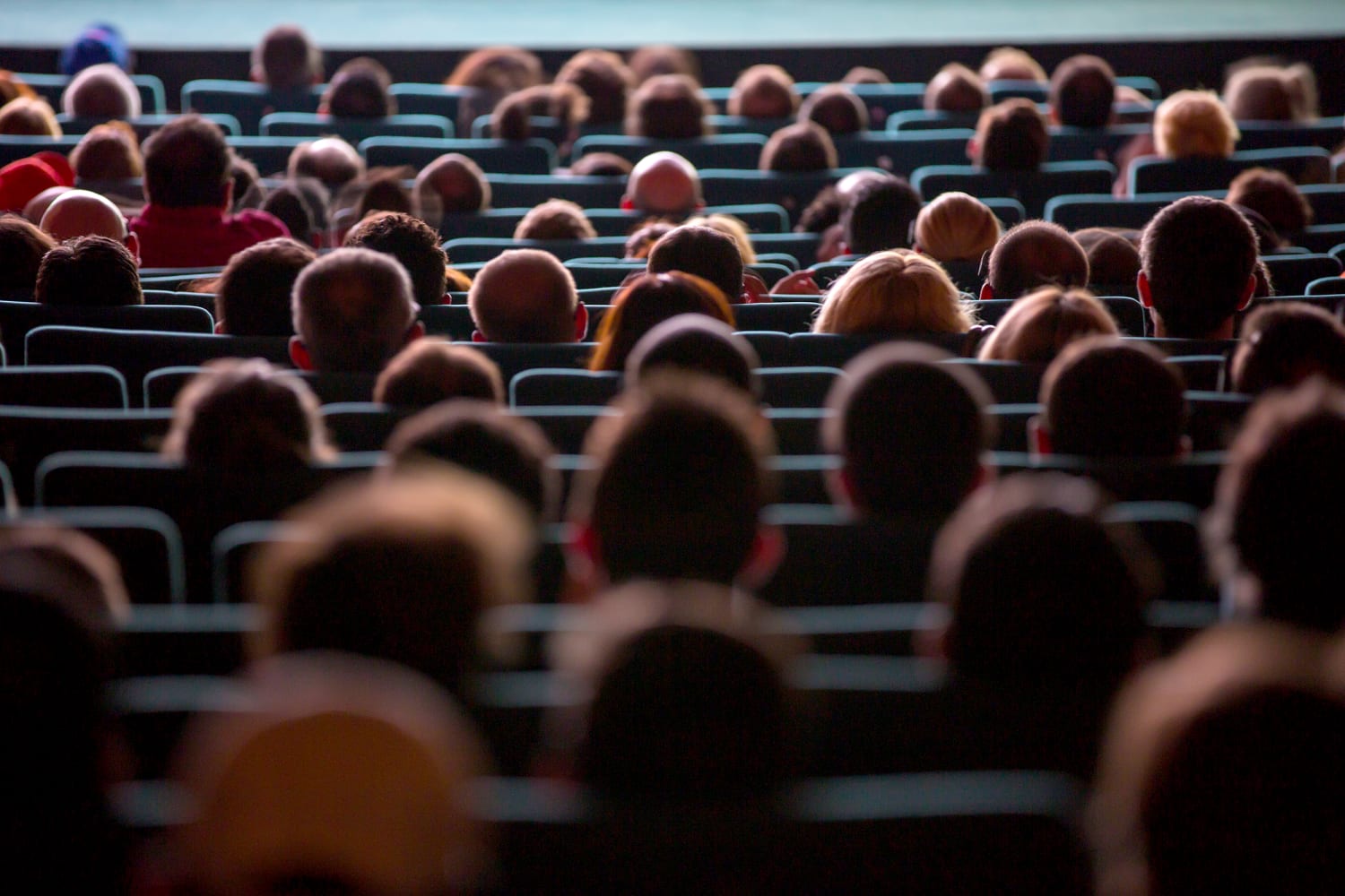 Theater Audience From Behind