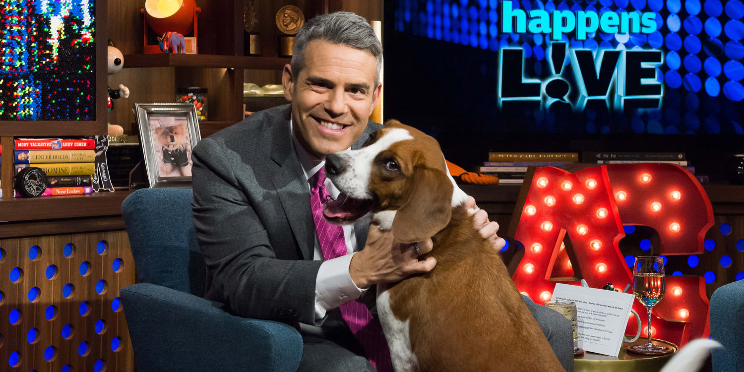 What Happened To Andy Cohens Dog