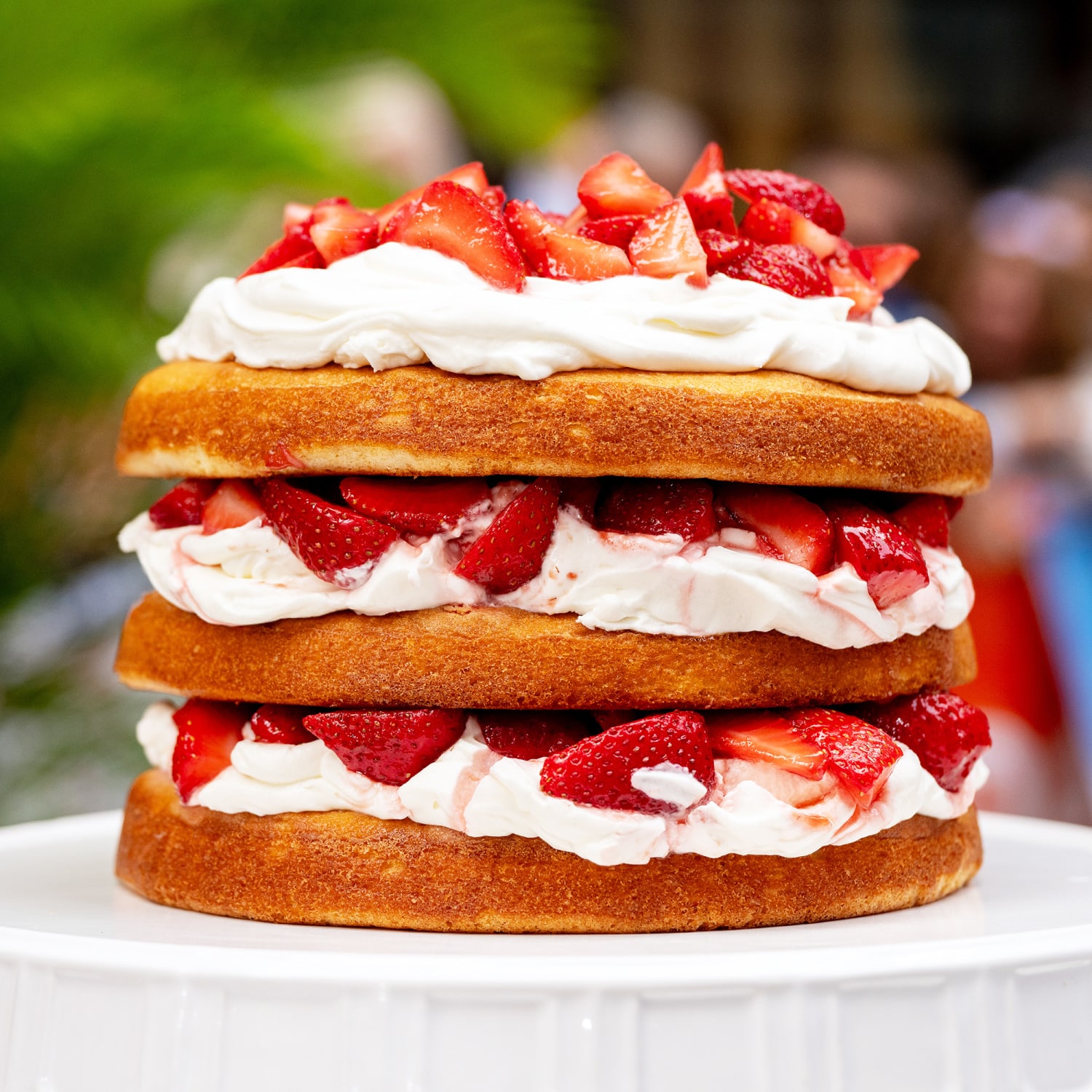 Strawberry Shortcake Strawberry Shortcake Birthday Shortcake Cake