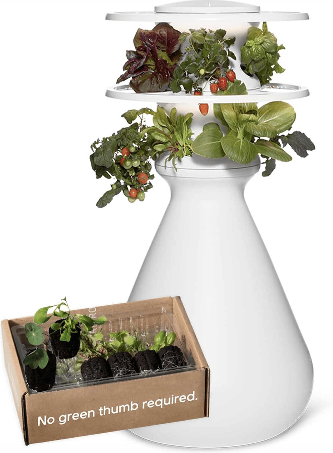 Best Indoor Plant Systems