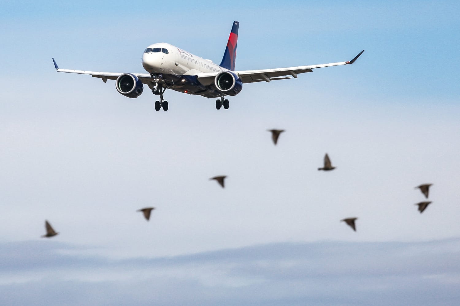 Delta Airplane Flying In Sky