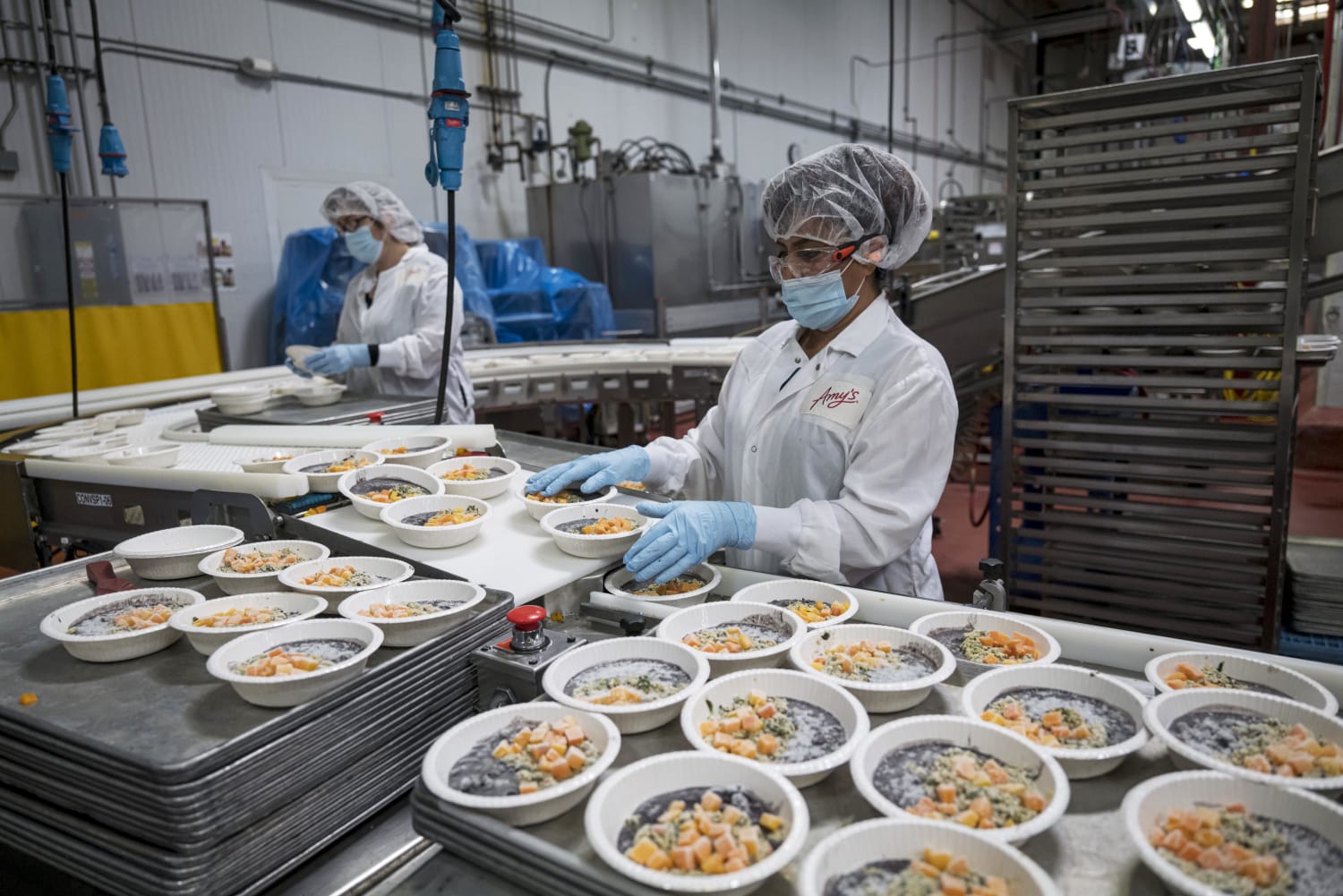 Amy Kitchen's Instagram, Twitter & Facebook on IDCrawl