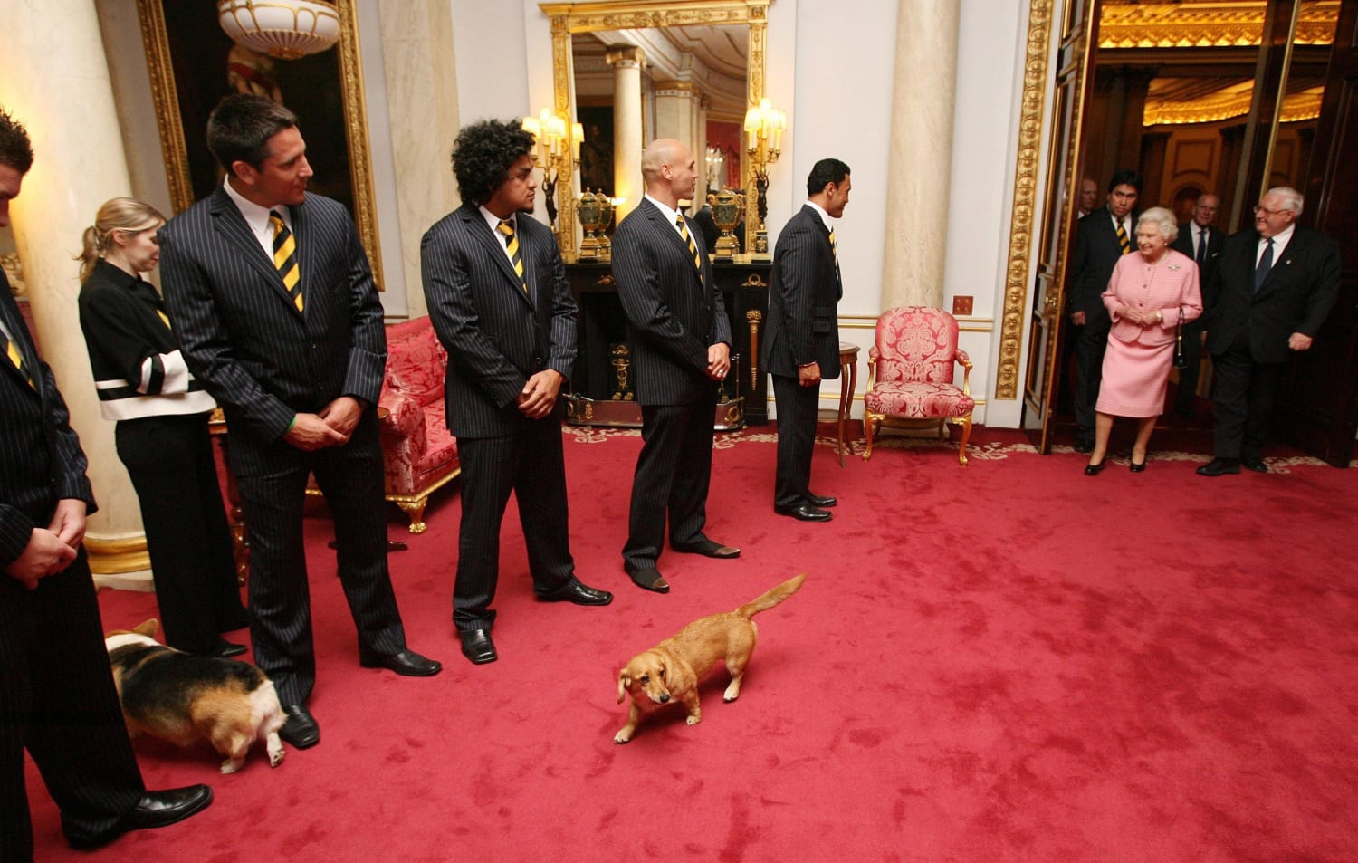 What Type Of Dogs Do The Queen Have