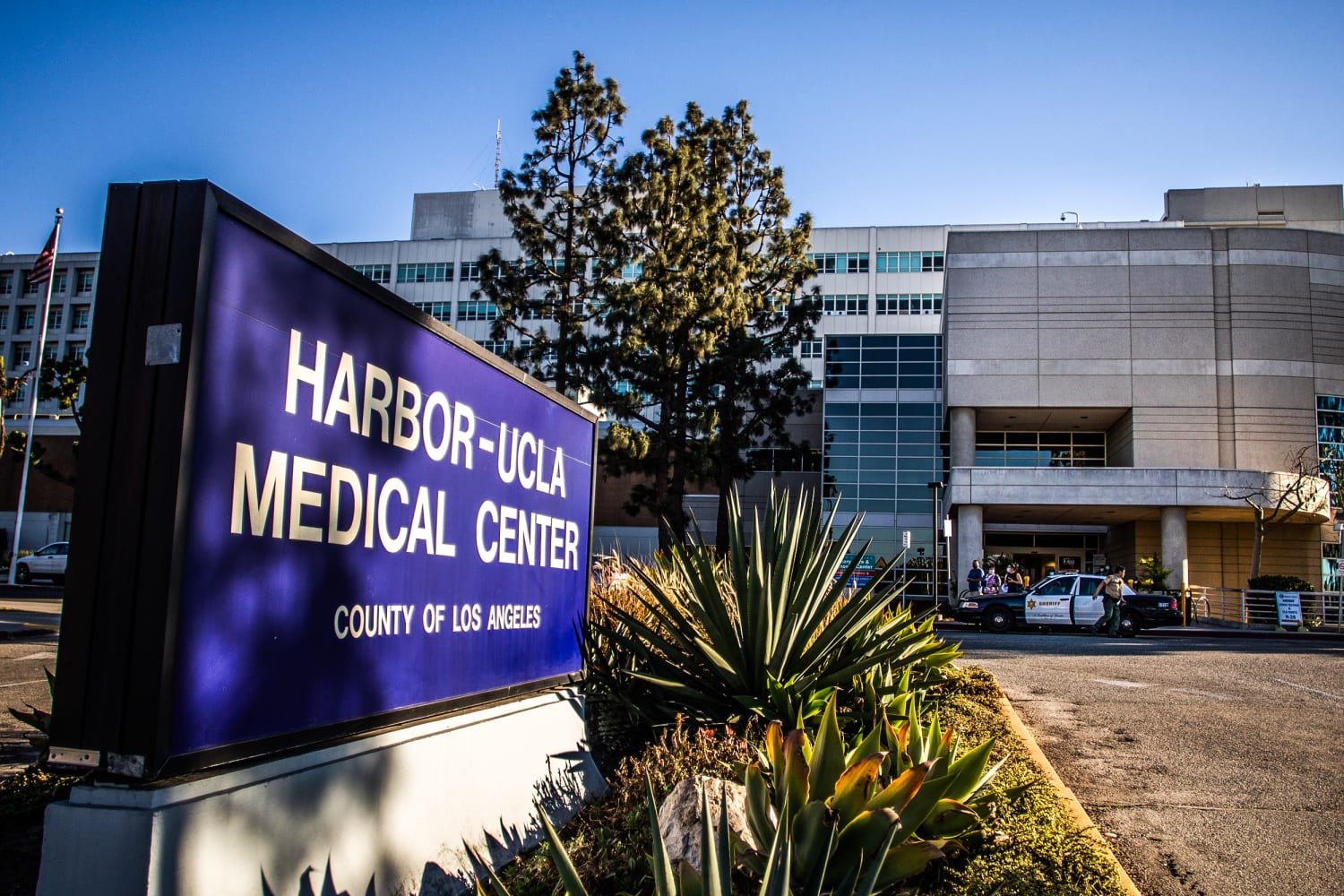 Harbor Ucla Medical Center Logo Group2 Harbor UCLA Medical Center