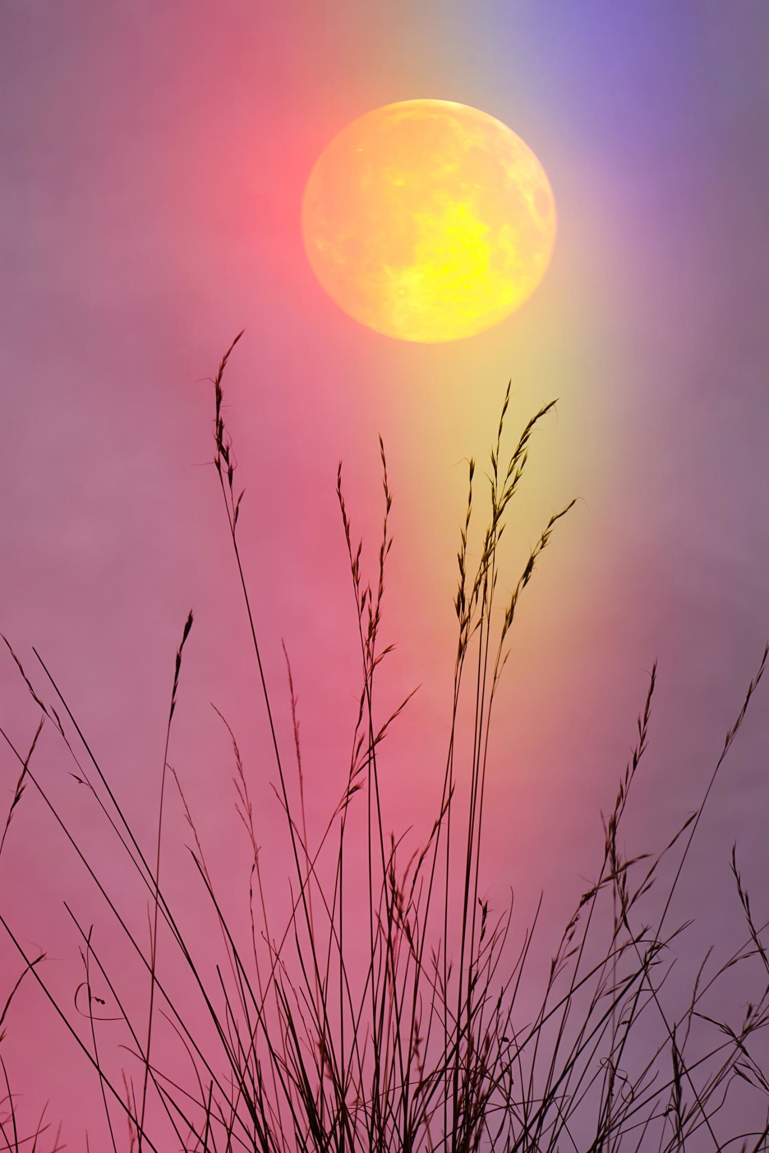 What June 2024's Full Moon In Capricorn Means For Your Sign