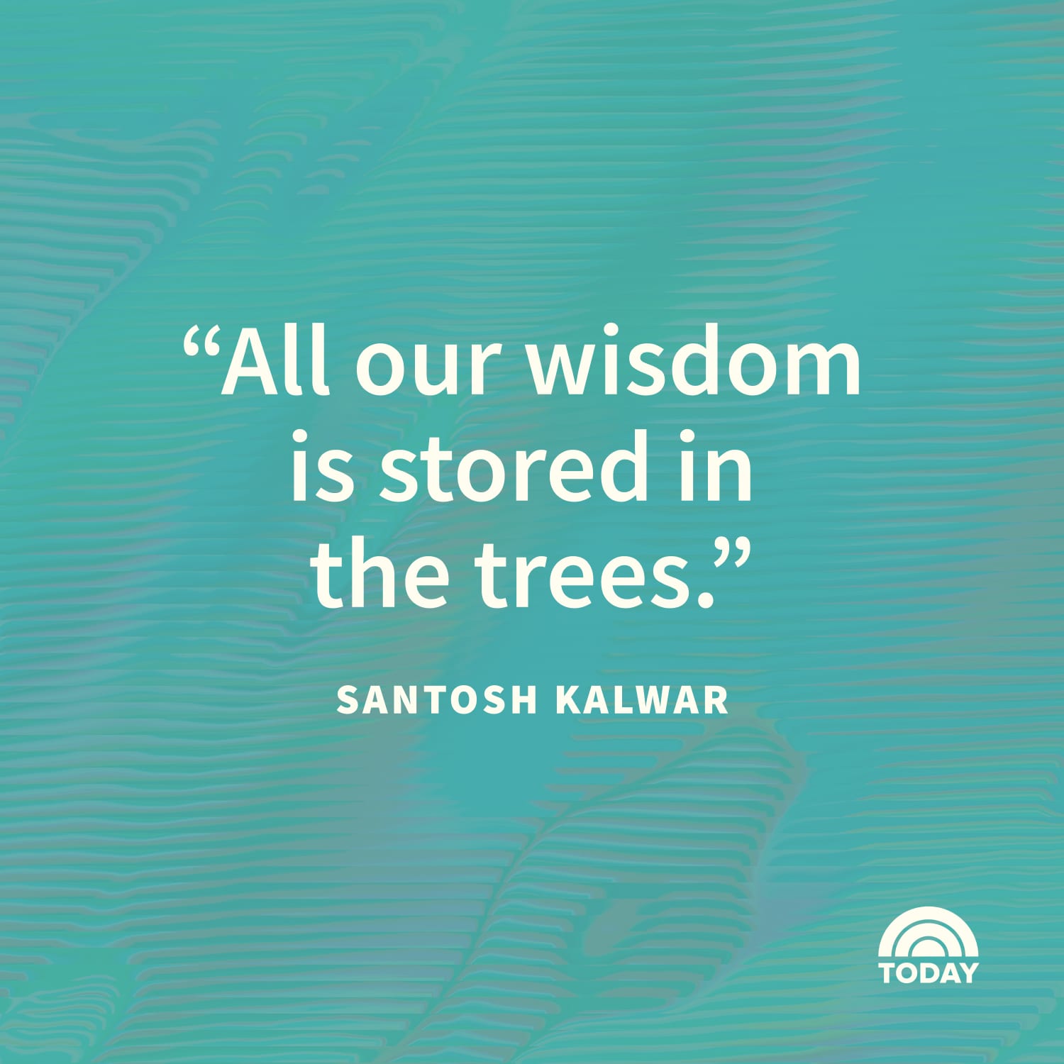 End Of Earth Quotes 55 Happy Earth Day Quotes About Nature And The