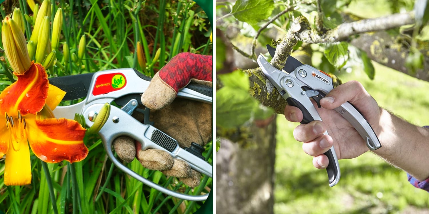 The gardener's friend pruners ratchet pruning shears store