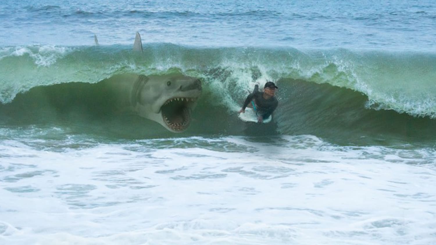 Ataques De Tiburones A Humanos Cómo Defenderte De Un Tiburón? Quo