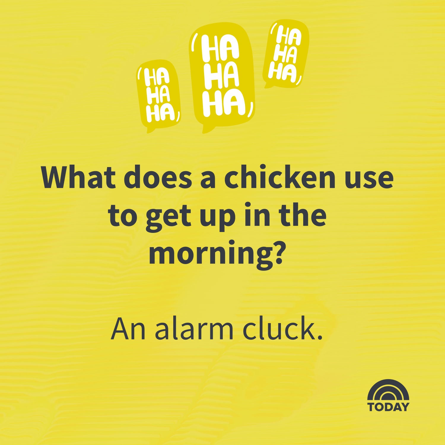 Funny Chicken Jokes