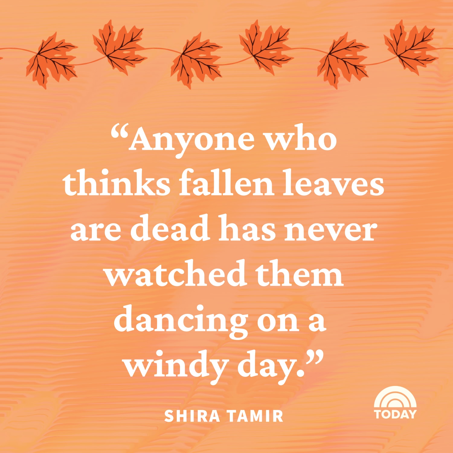 Autumn Short Phrases