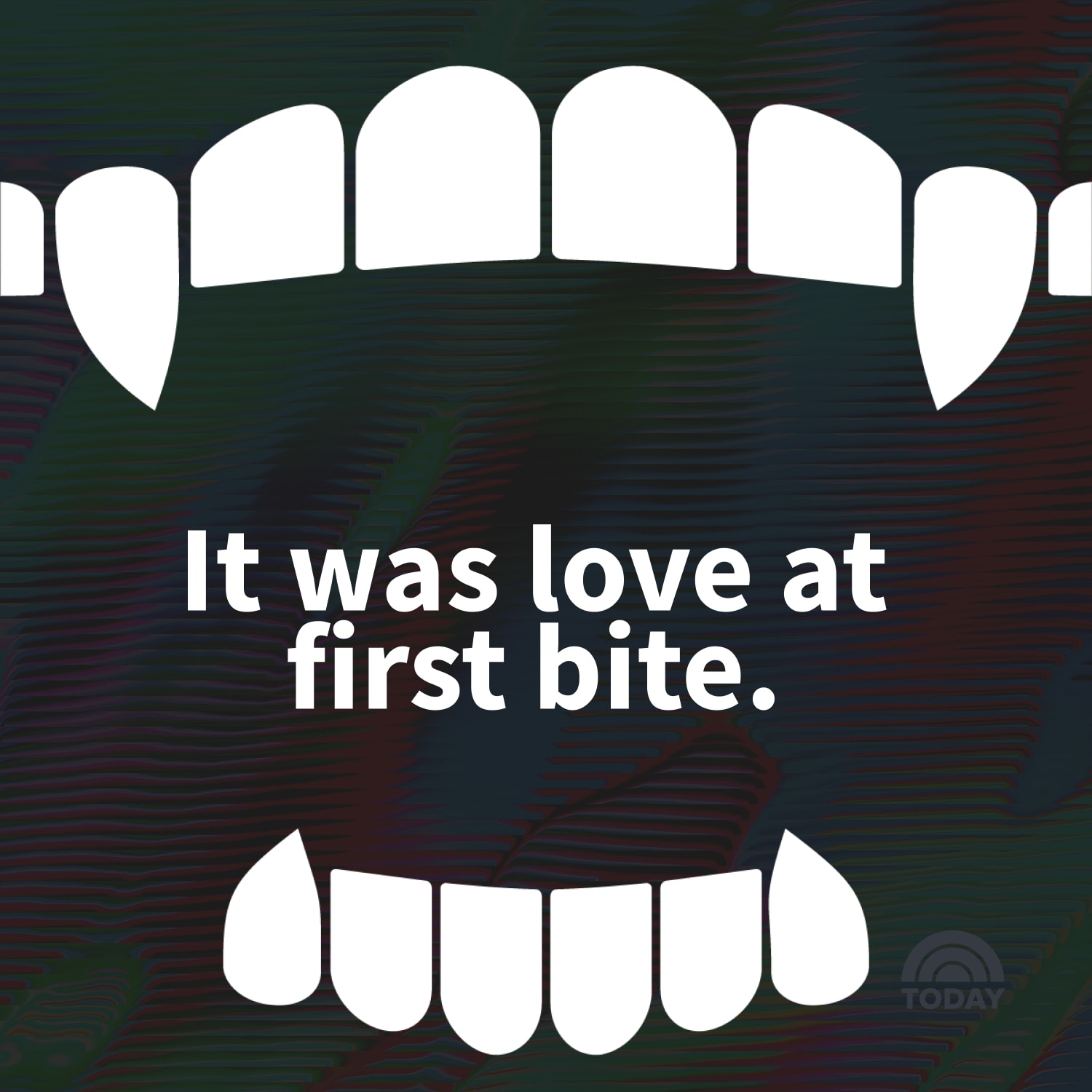 Short Funny Vampire Quotes 30 Best Vampire Quotes Halloween Quotes