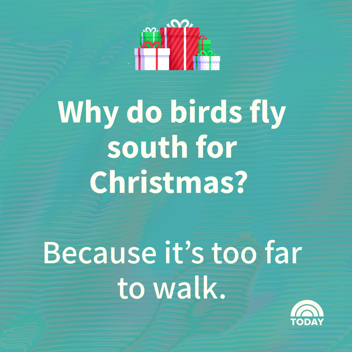 Xmas Jokes And Humor 210+ Funny Elf Jokes For The Elf On The Shelf