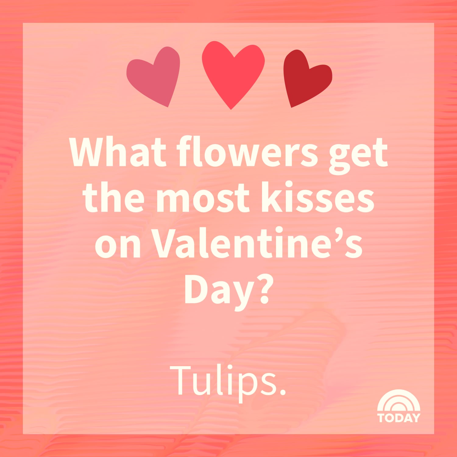 Valentines Day Jokes Lunchbox Jokes For Valentine's Day FREE