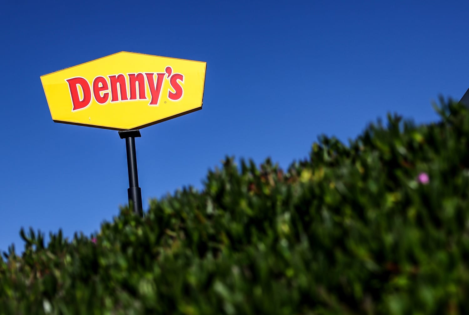 Xenial For Dennys DENNY'S CORPORATION