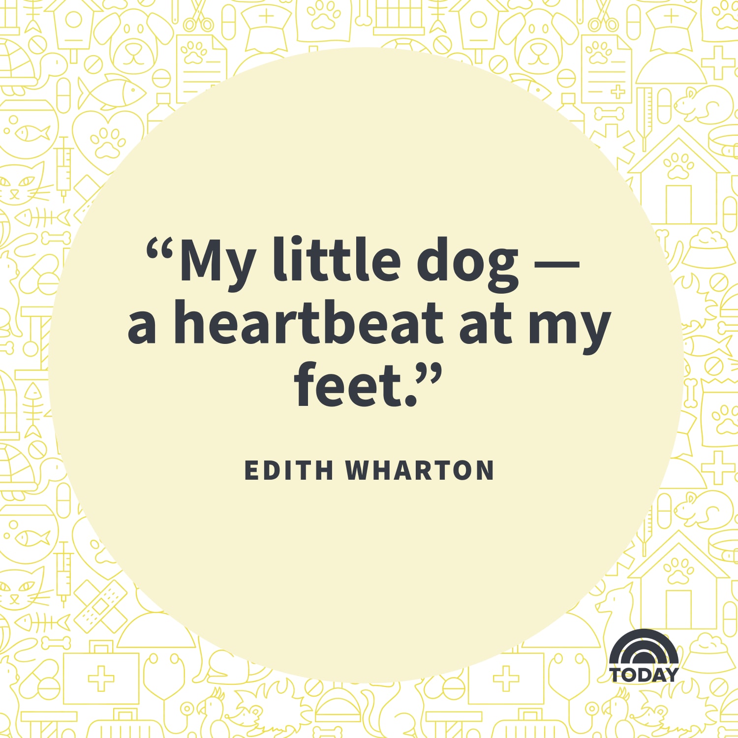 Wonder Pets Quotes 50 Pet Quotes To Post For Your Dog Or Cat