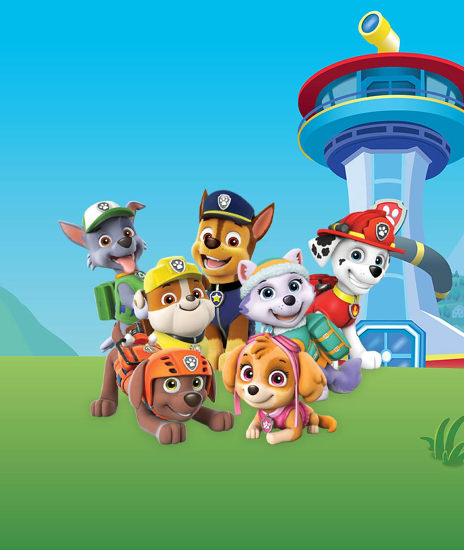 Names Of Paw Patrol Characters In Order - Infoupdate.org