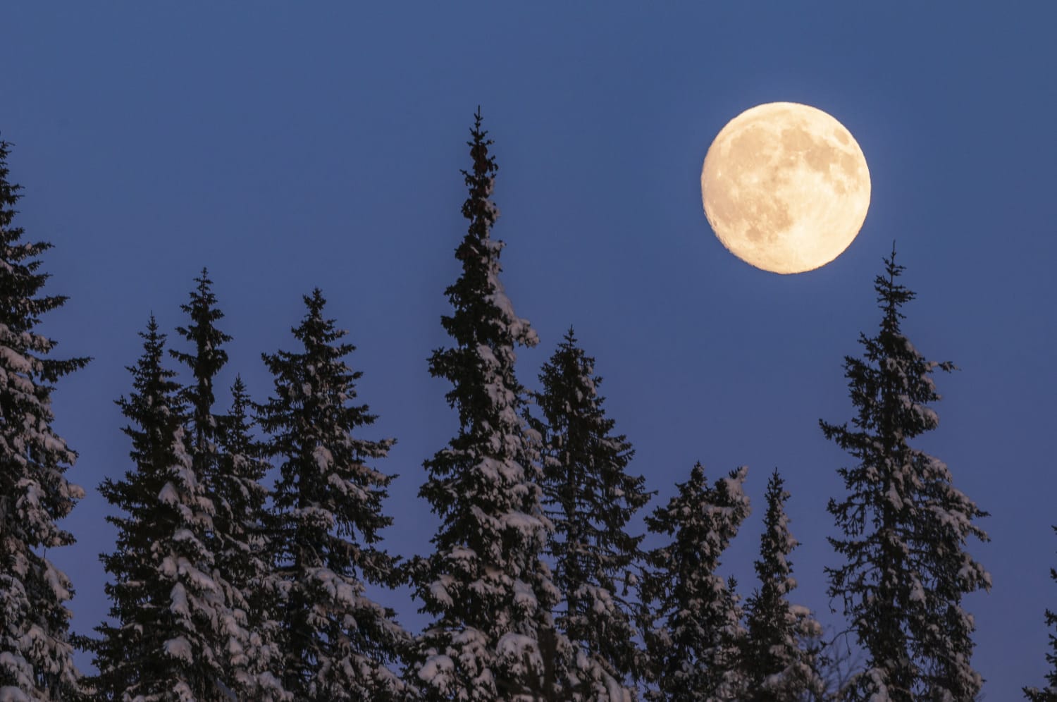 How December's Full Cold Moon Will Impact These 4 Zodiac Signs