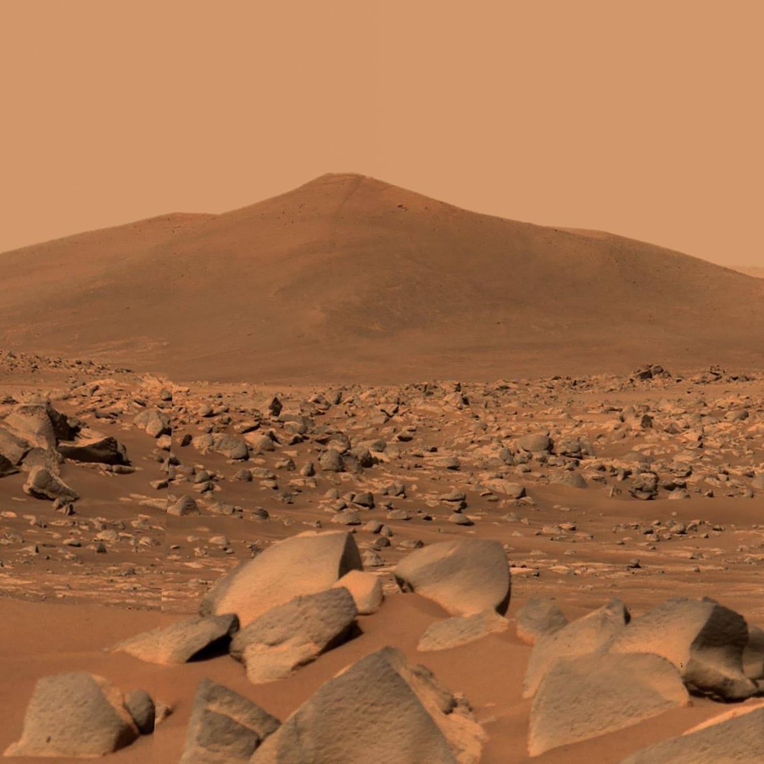 Are Trump and Musk giving up on Mars? Why NASA and SpaceX may be moving on