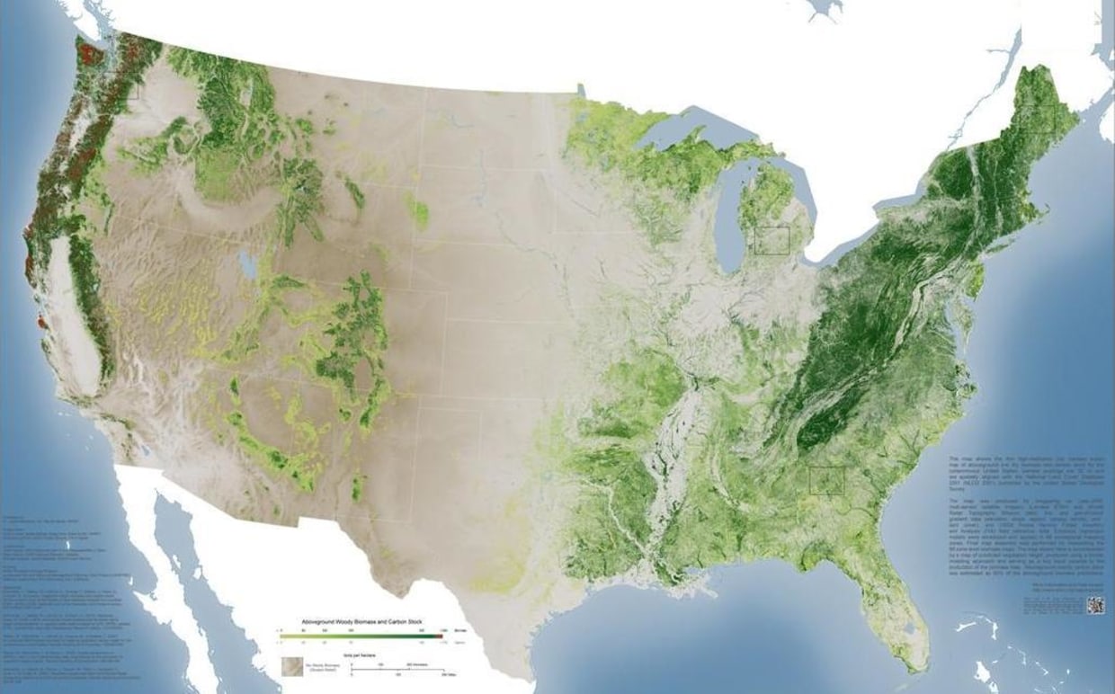 Usa Forest Map Old Growth Forests – The Howard Falls Trust