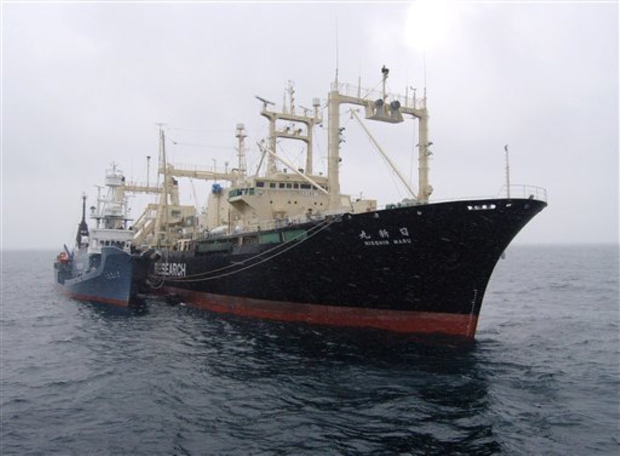 Procesamiento De Nisshin Maru