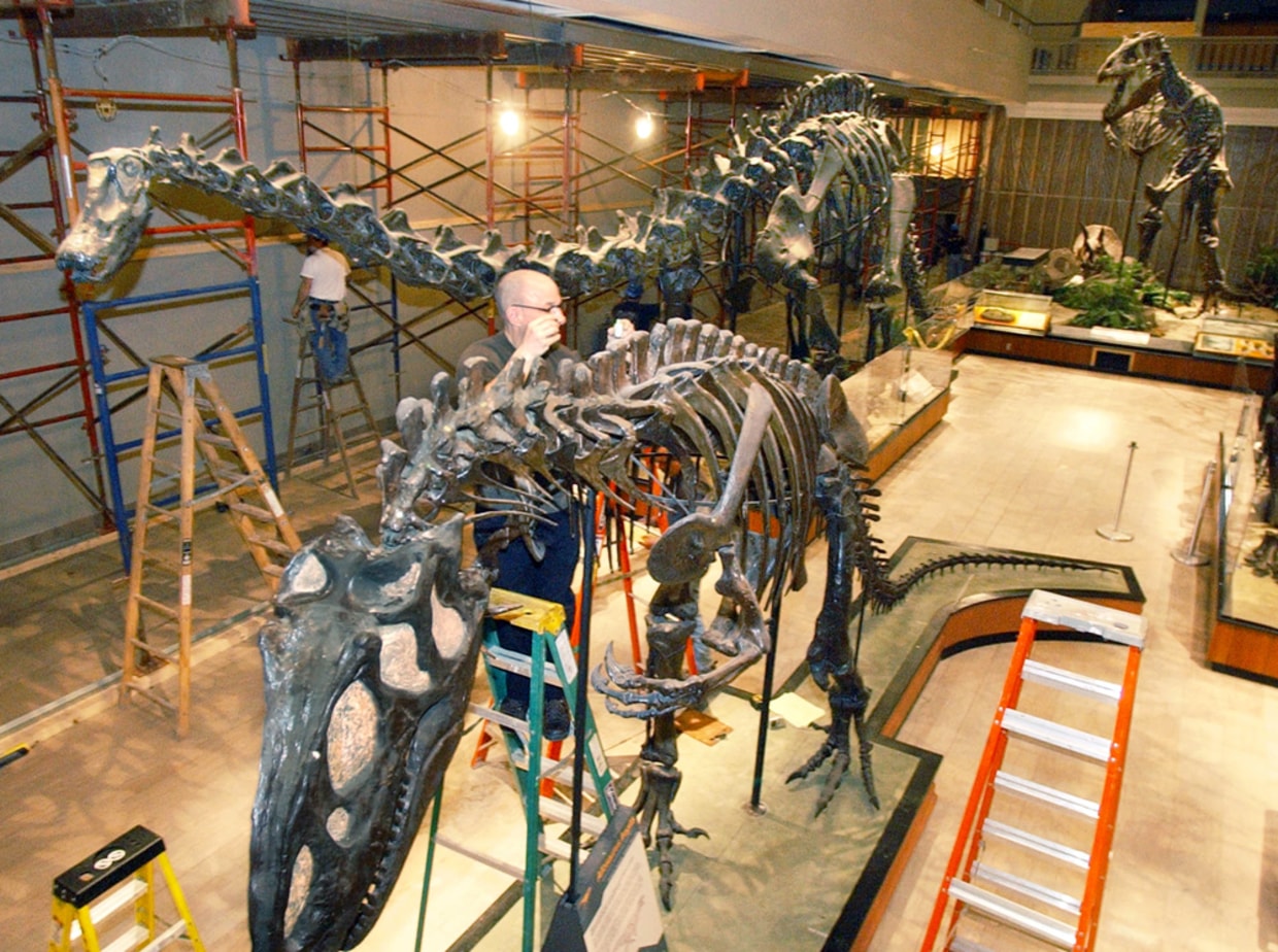 Museum Of Natural History Dinosaur