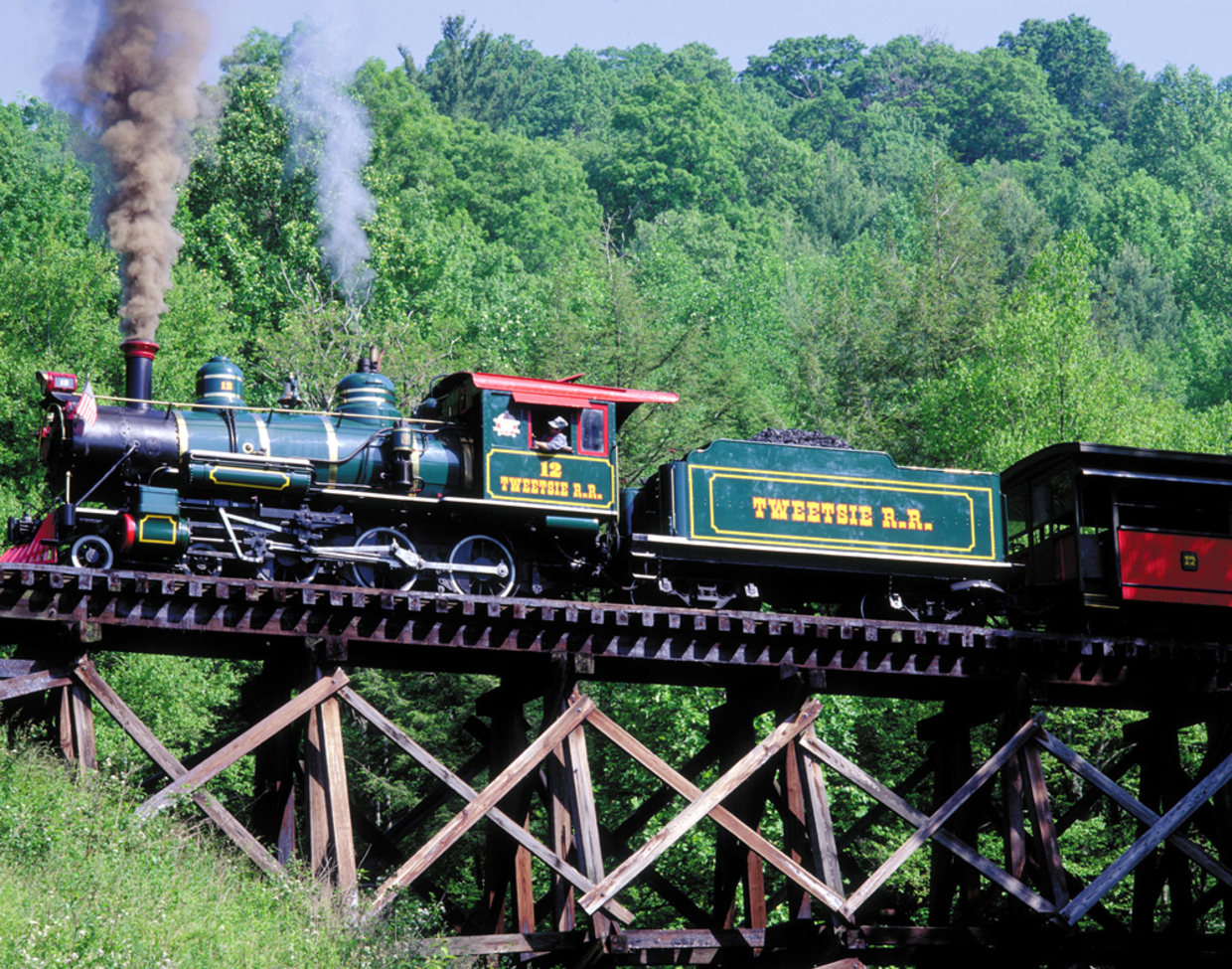 free tweetsie coloring pages