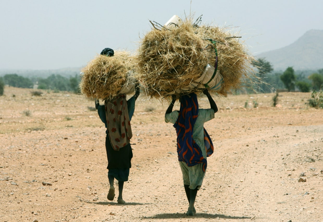 darfur desertification