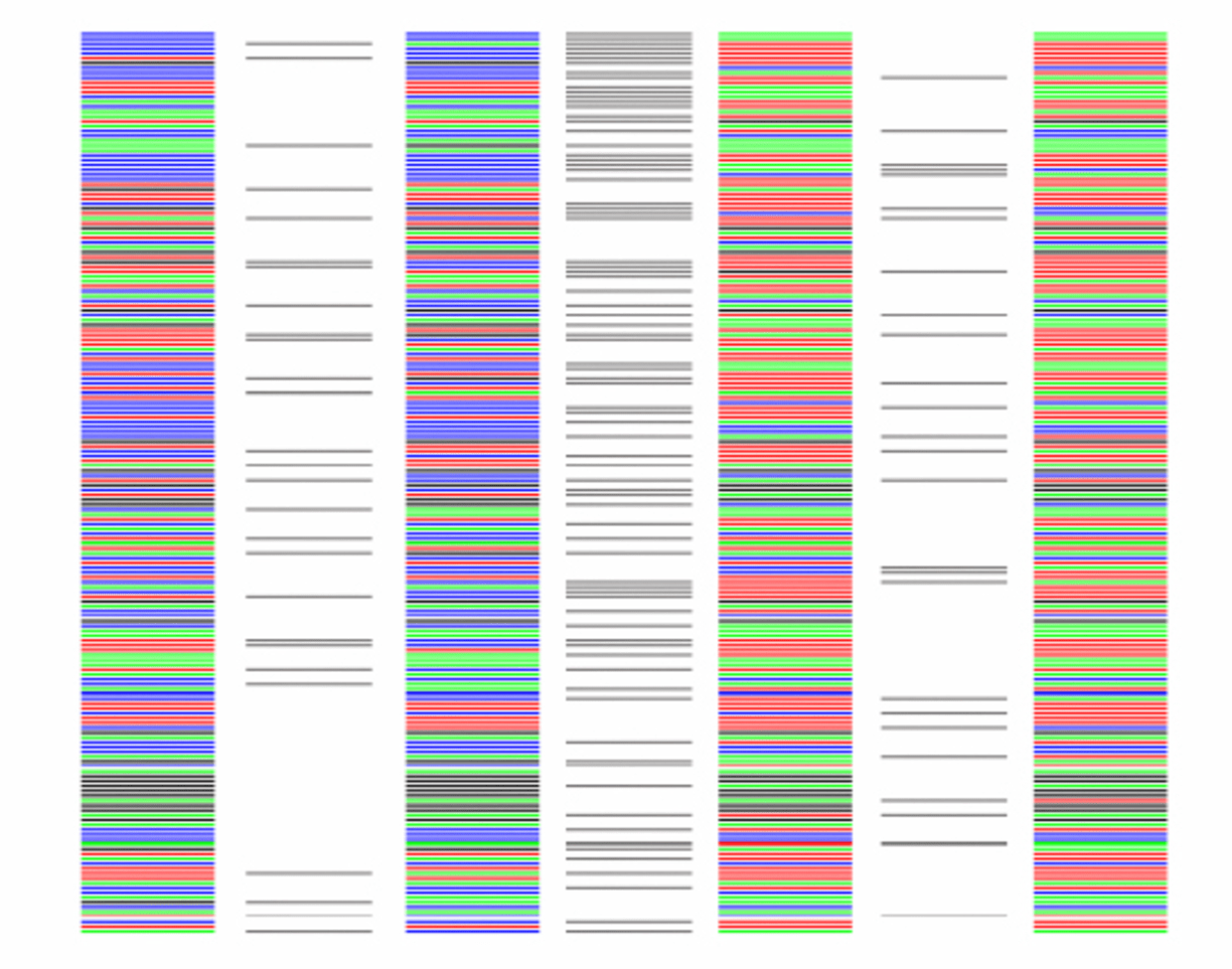 colorful barcodes