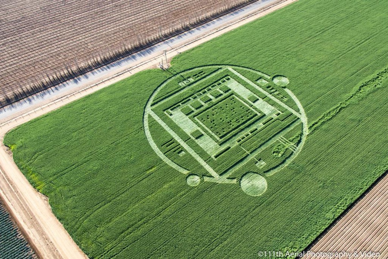 National Geographic Is It Real Crop Circles