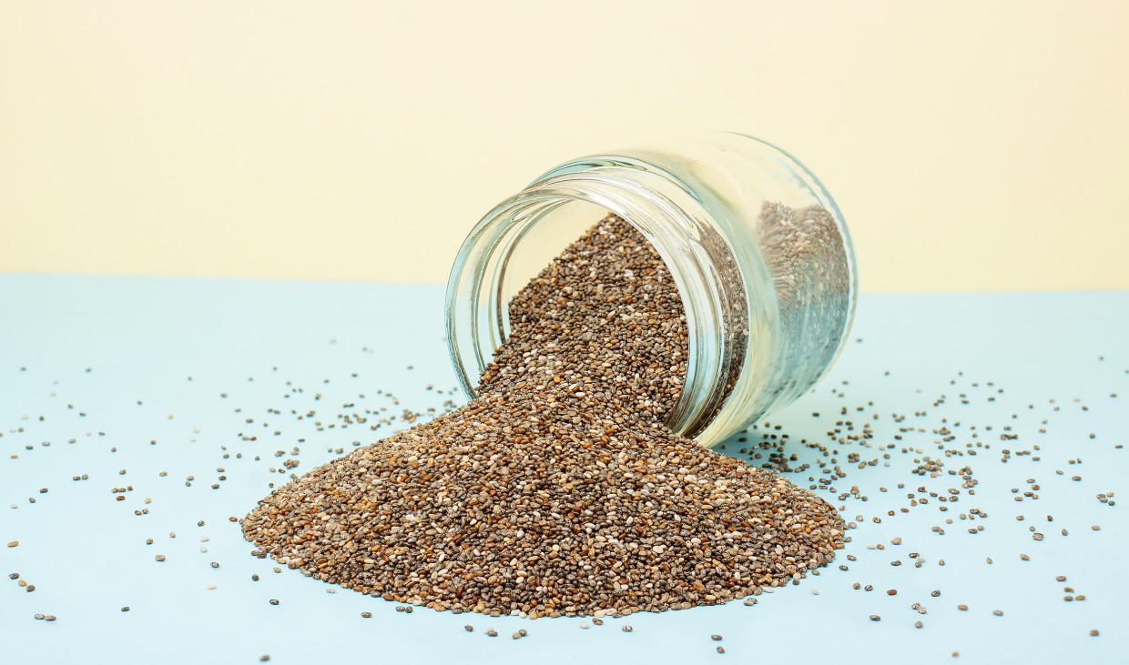 Chia Pet Quotes Chia Pet And Chia Seed Were Born Into Our Care. They