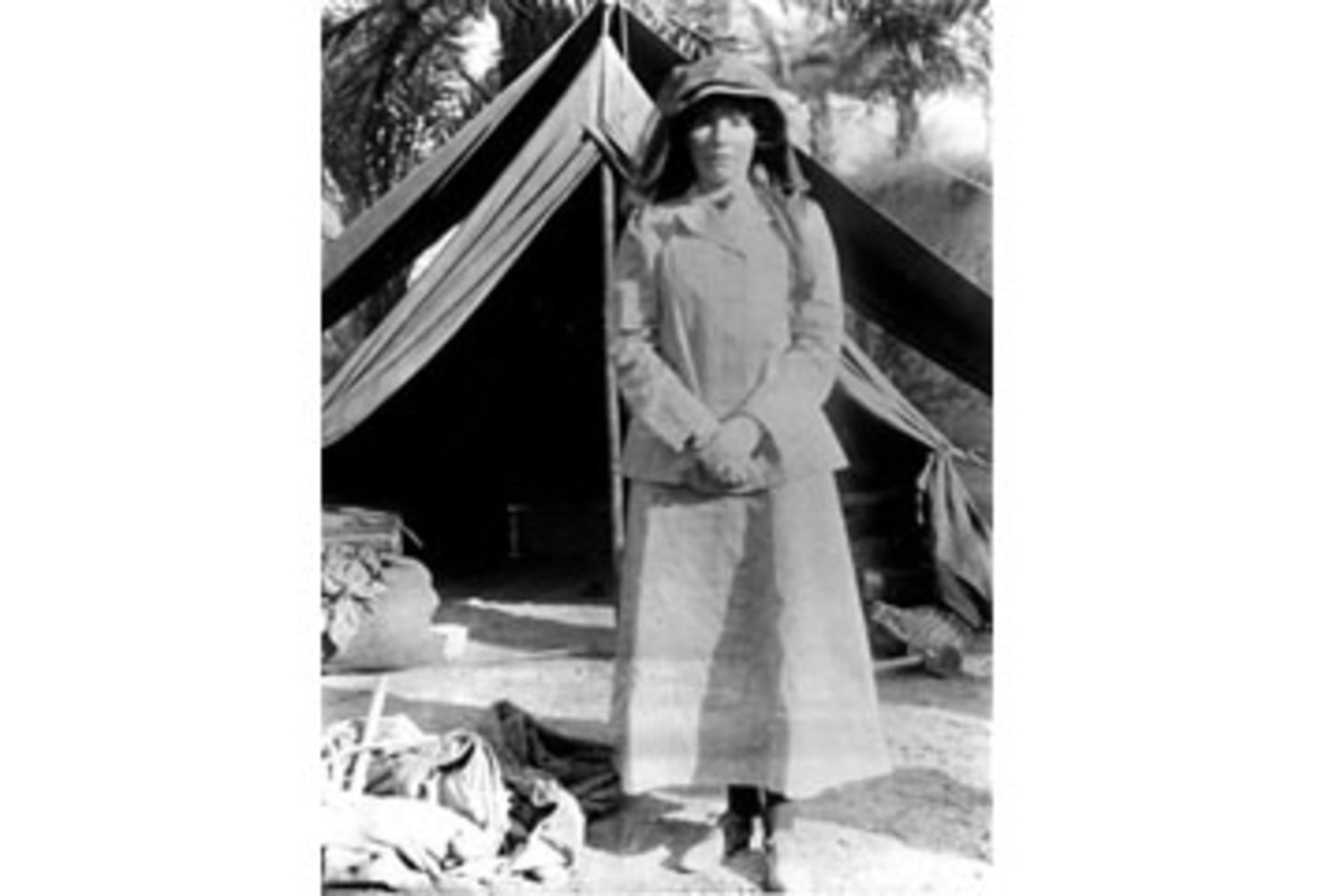 harriet mini explorers