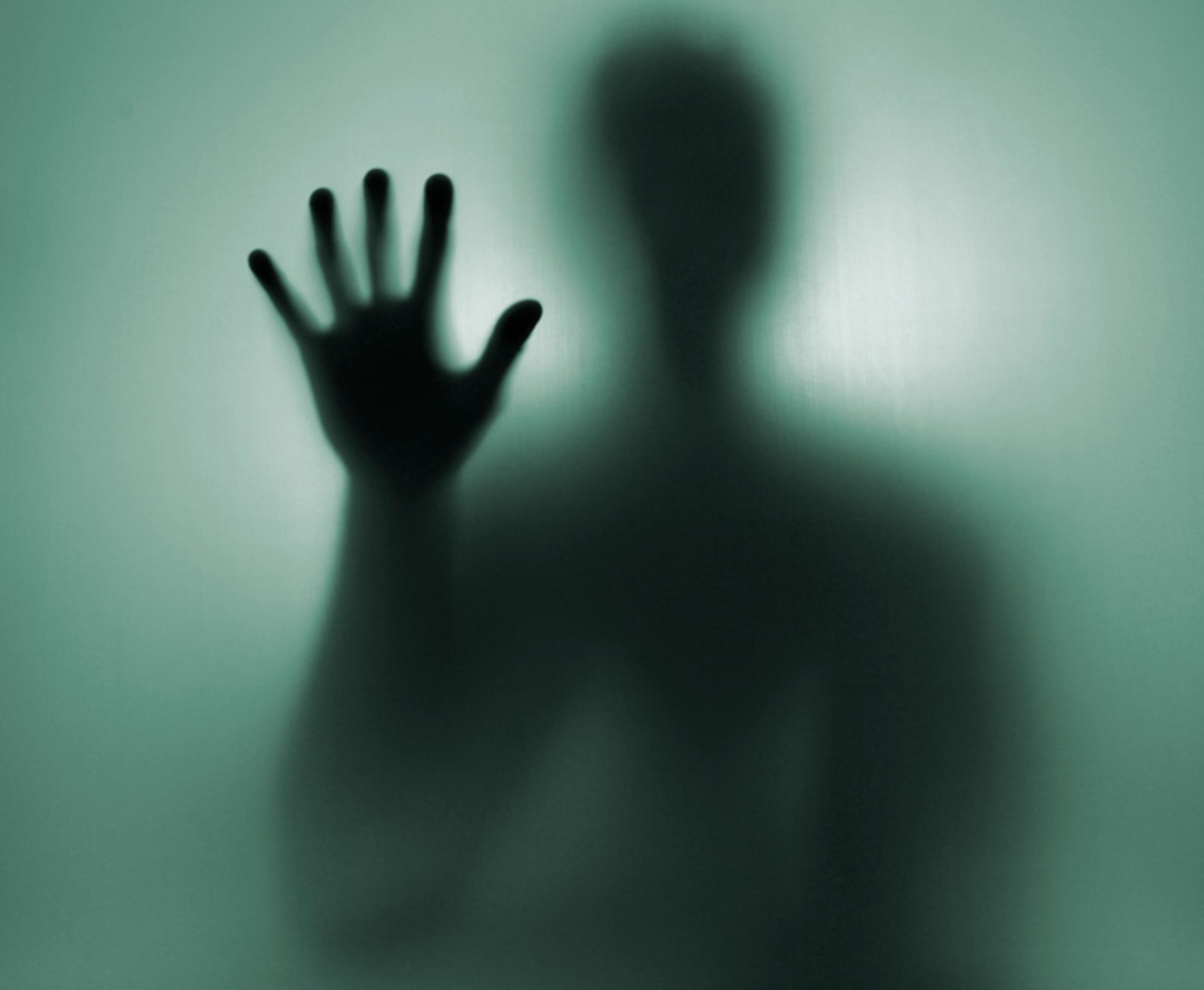 dark shadow paranormal