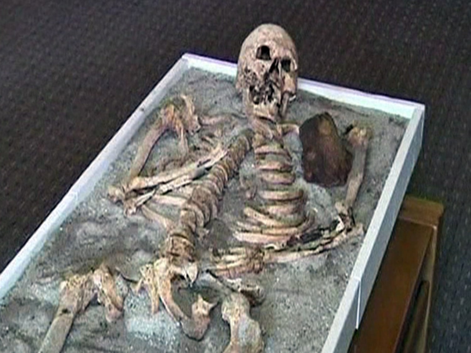 vampire skeleton found