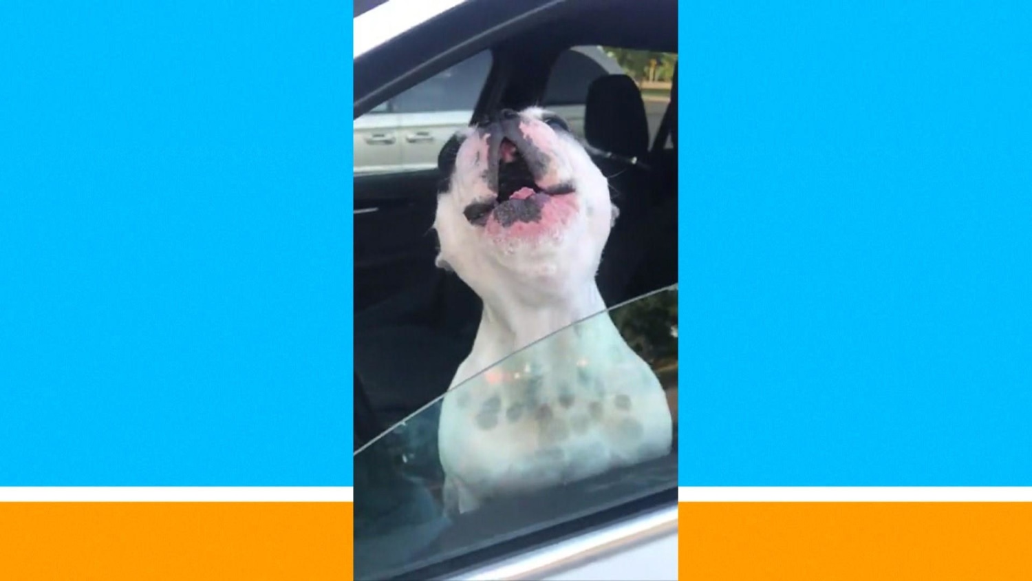 Rachel Watton's Instagram, Twitter & Facebook on IDCrawl